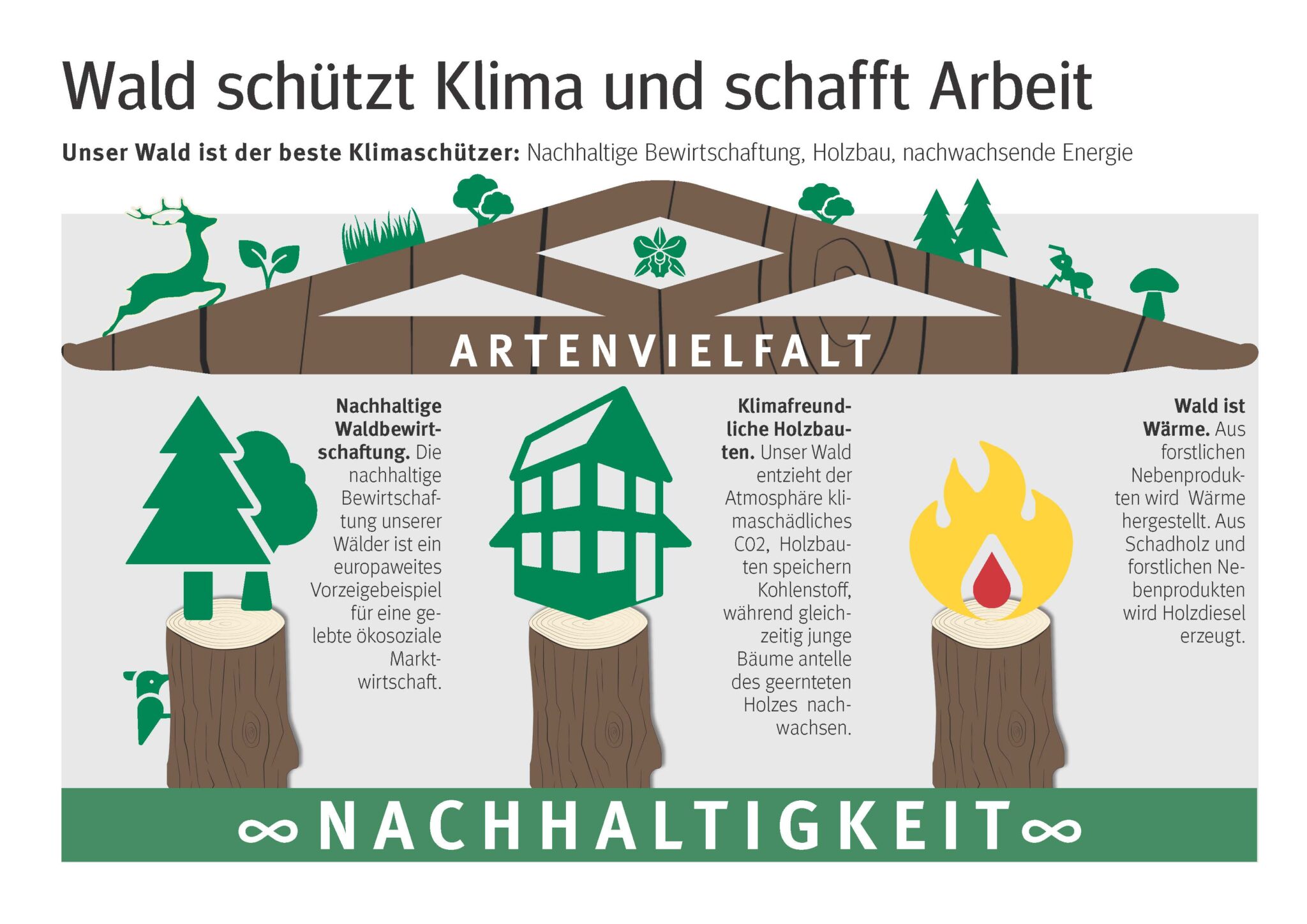 Wald schützt Klima und schafft Arbeit - Die Ökoenergie